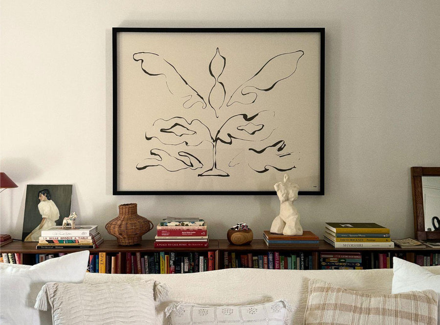 Ali LaBelle | Collector Profile