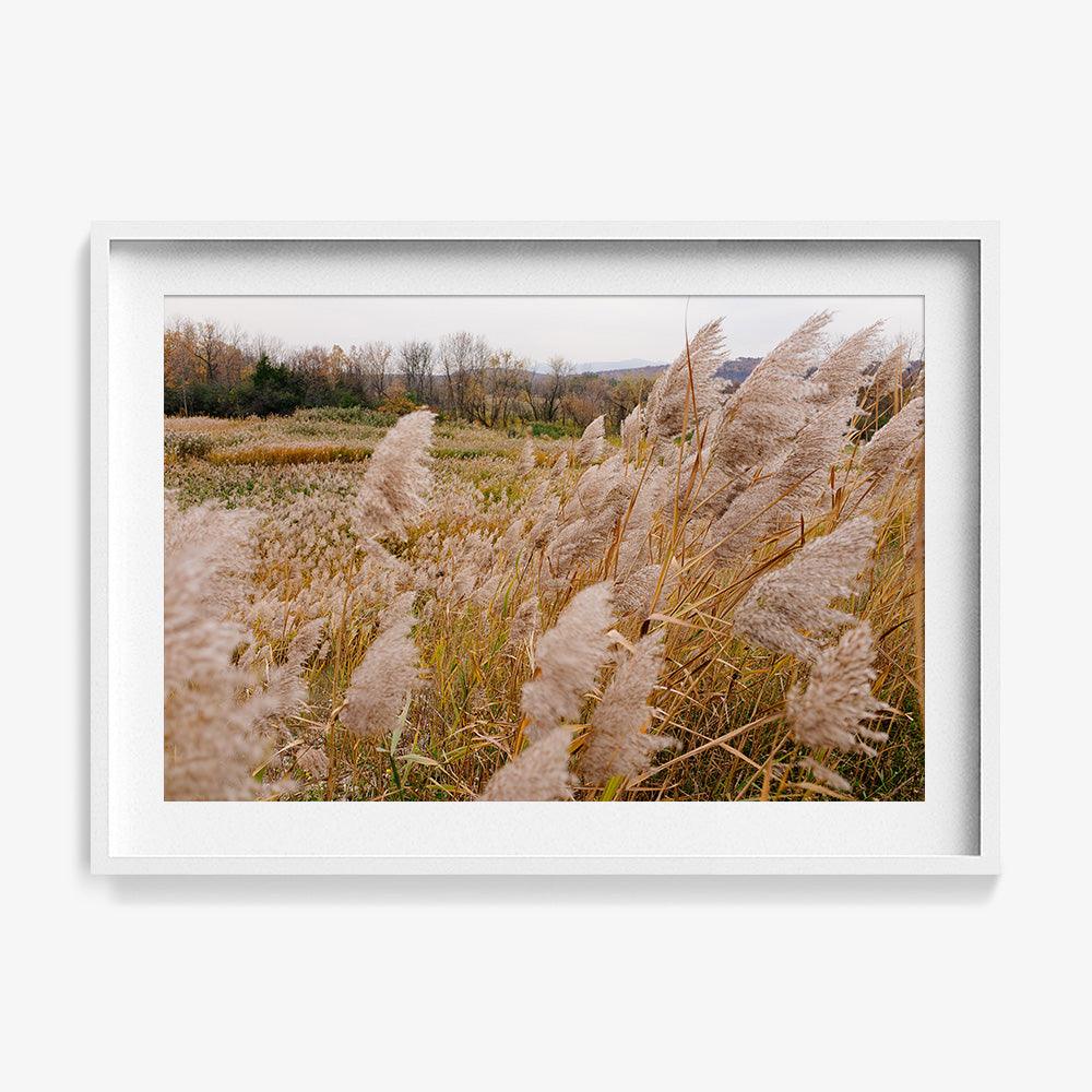 Hudson-Valley--42x28-White.jpg?v=1739523507&width=2048