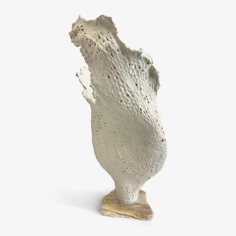 The Secret Life of Plants