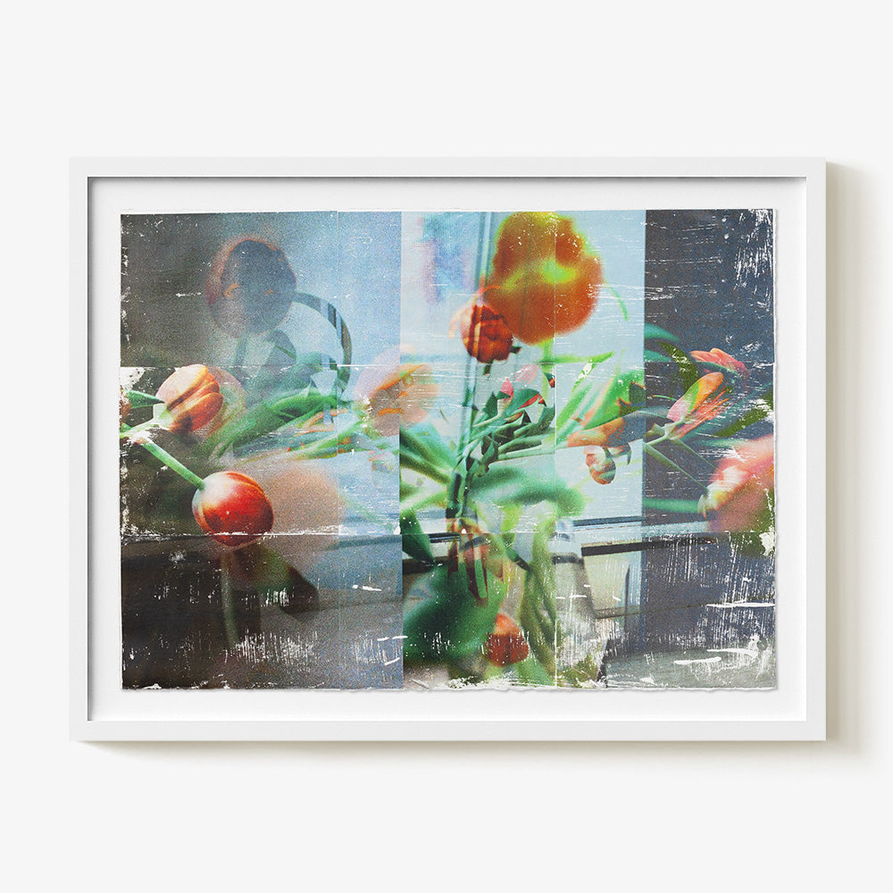 tulip_study-03-30x22_White-Float.jpg?v=1742852153&width=2048