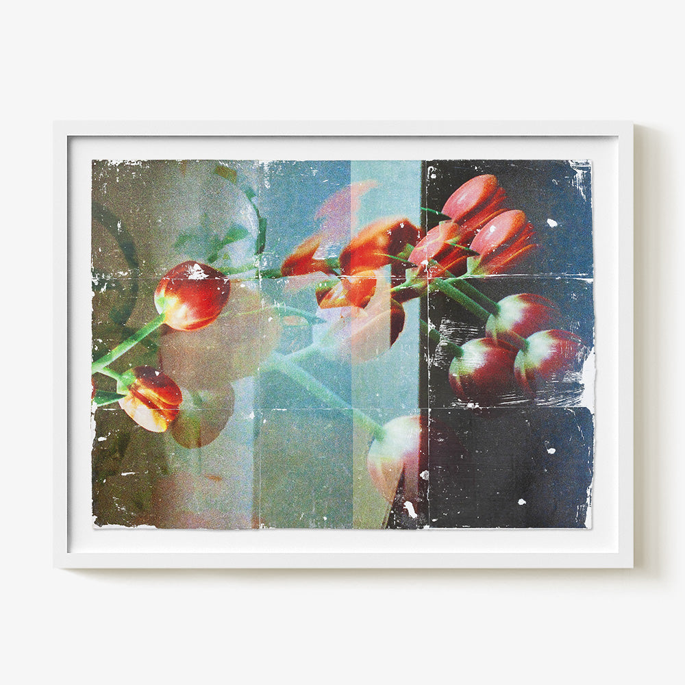 tulip_study-04-30x22_White-Float.jpg?v=1742851853&width=2048