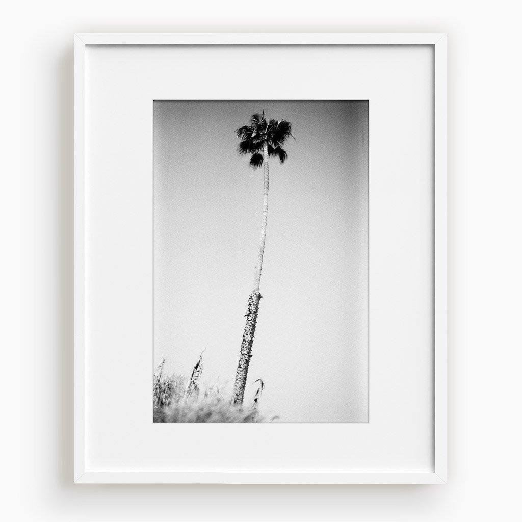 IsaacZoller_EightMilesHigh_LE_16x24_framed_white_mat.jpg?v=1739516788 ...