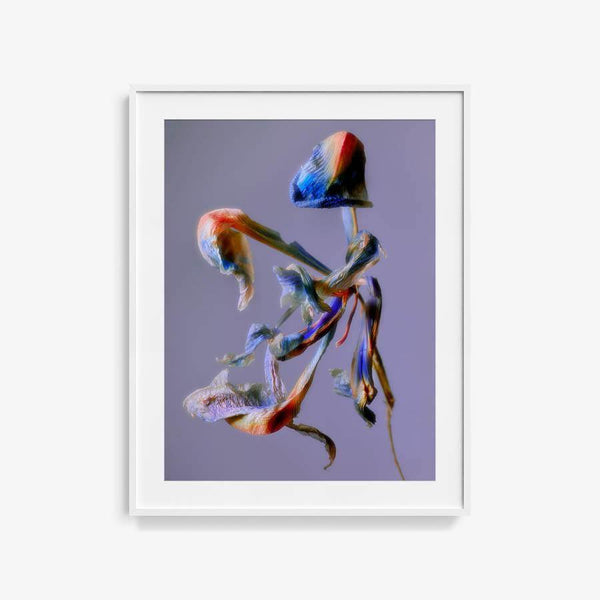 jacques brun octogone 1 octogone 1 photograph from $ 800 from $ 800