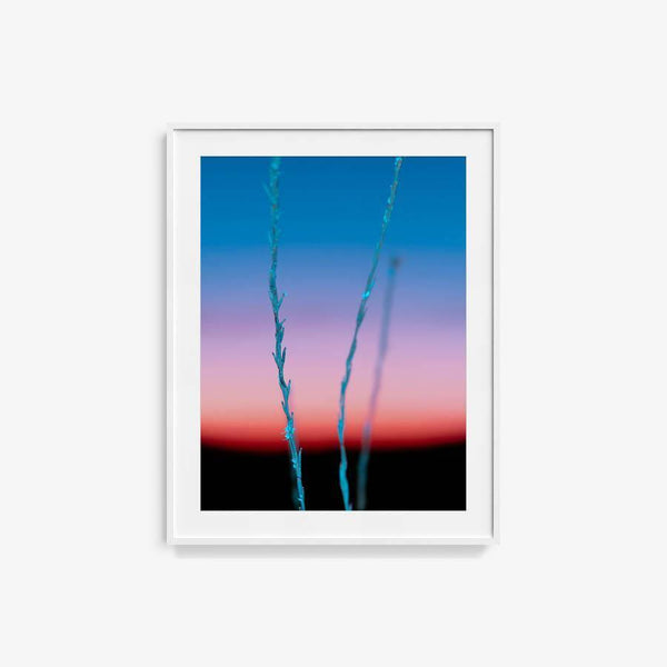 kryszak close follow neil kryszak sign up to be notified of new ...